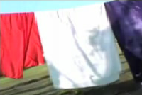 Color Morado – PLD | Estratégica.com.co